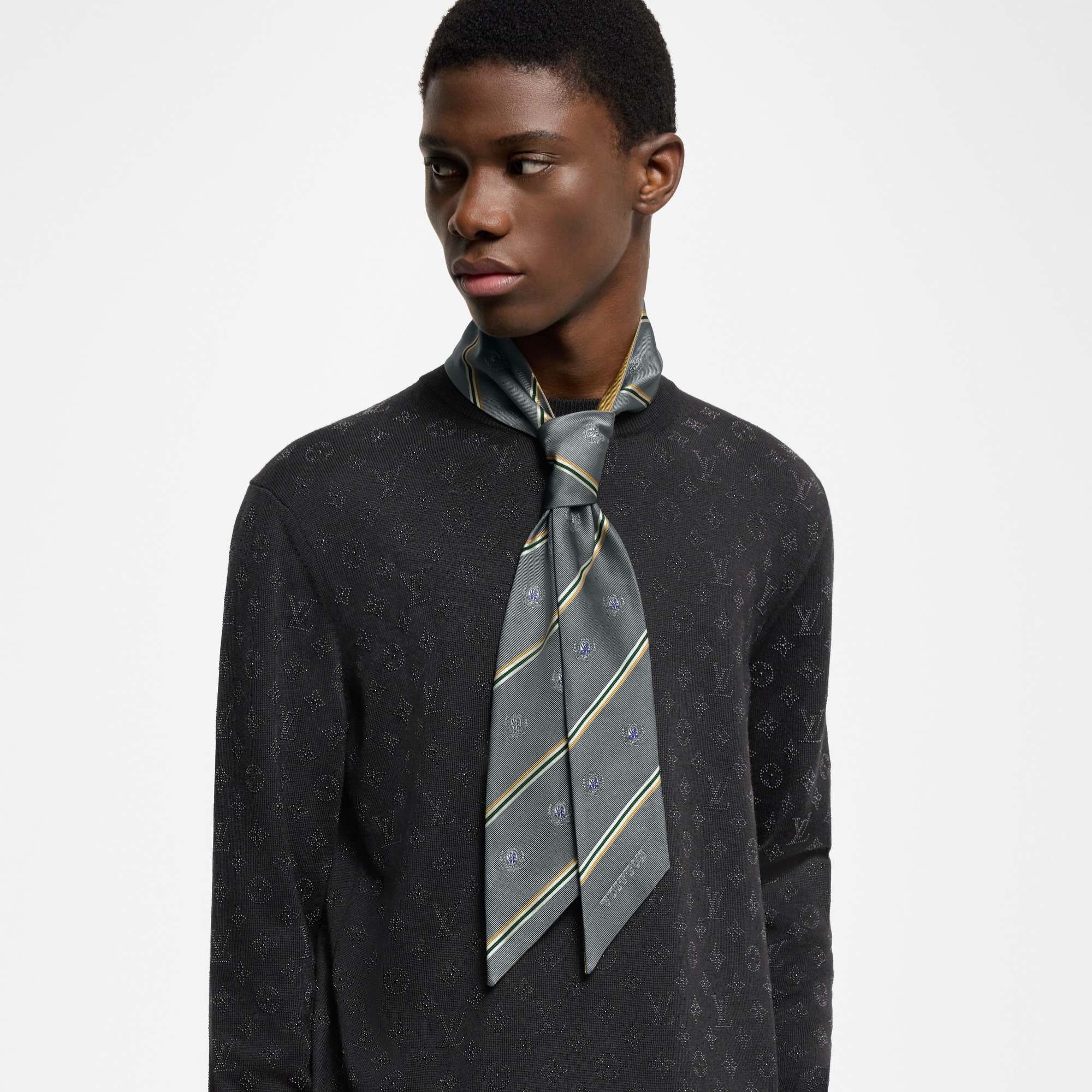 도그 크레스트 (Dog Crest) 방도 S00 - 액세서리 | 루이 비통